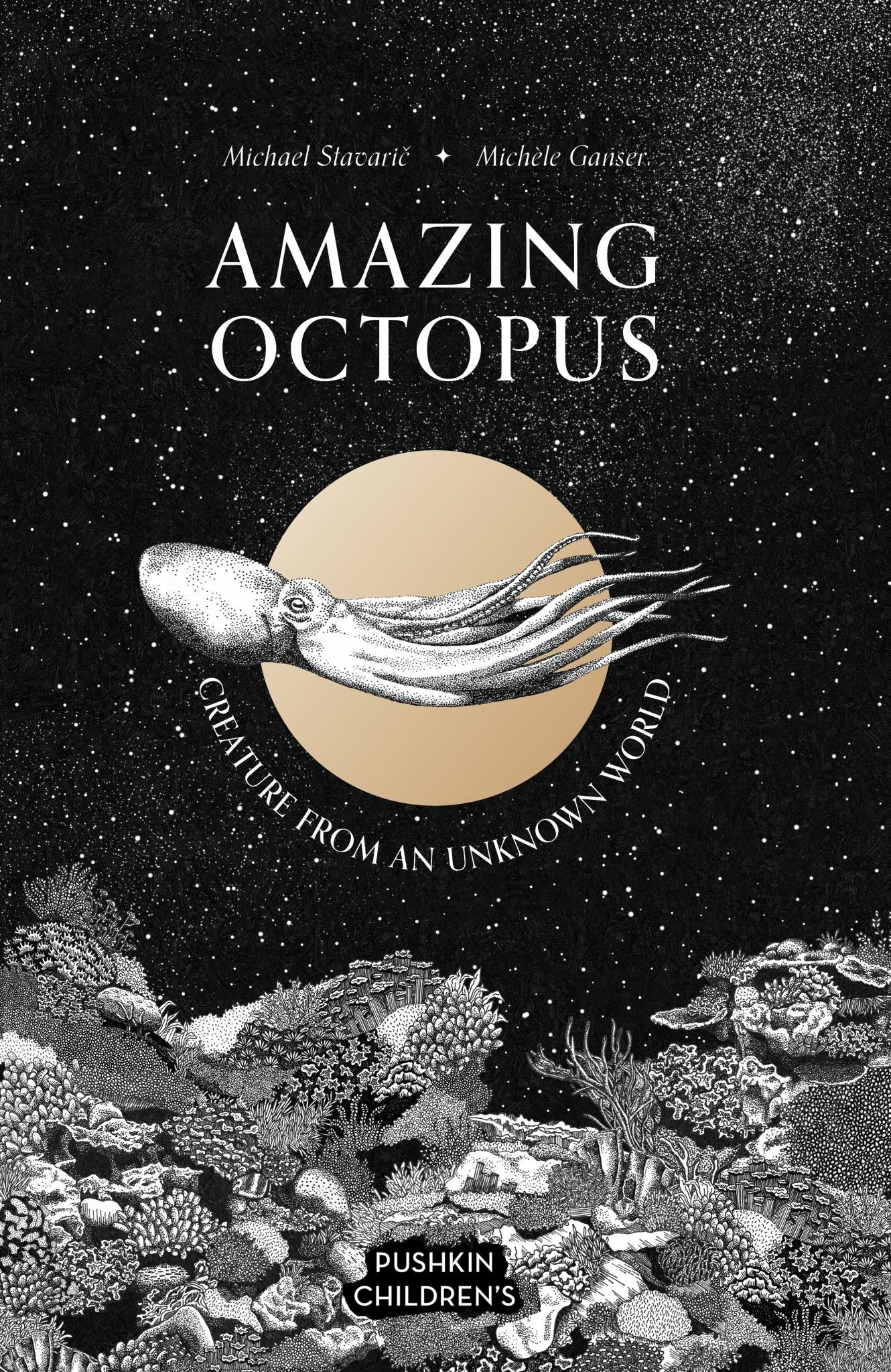 Amazing Octopus – Unity Books