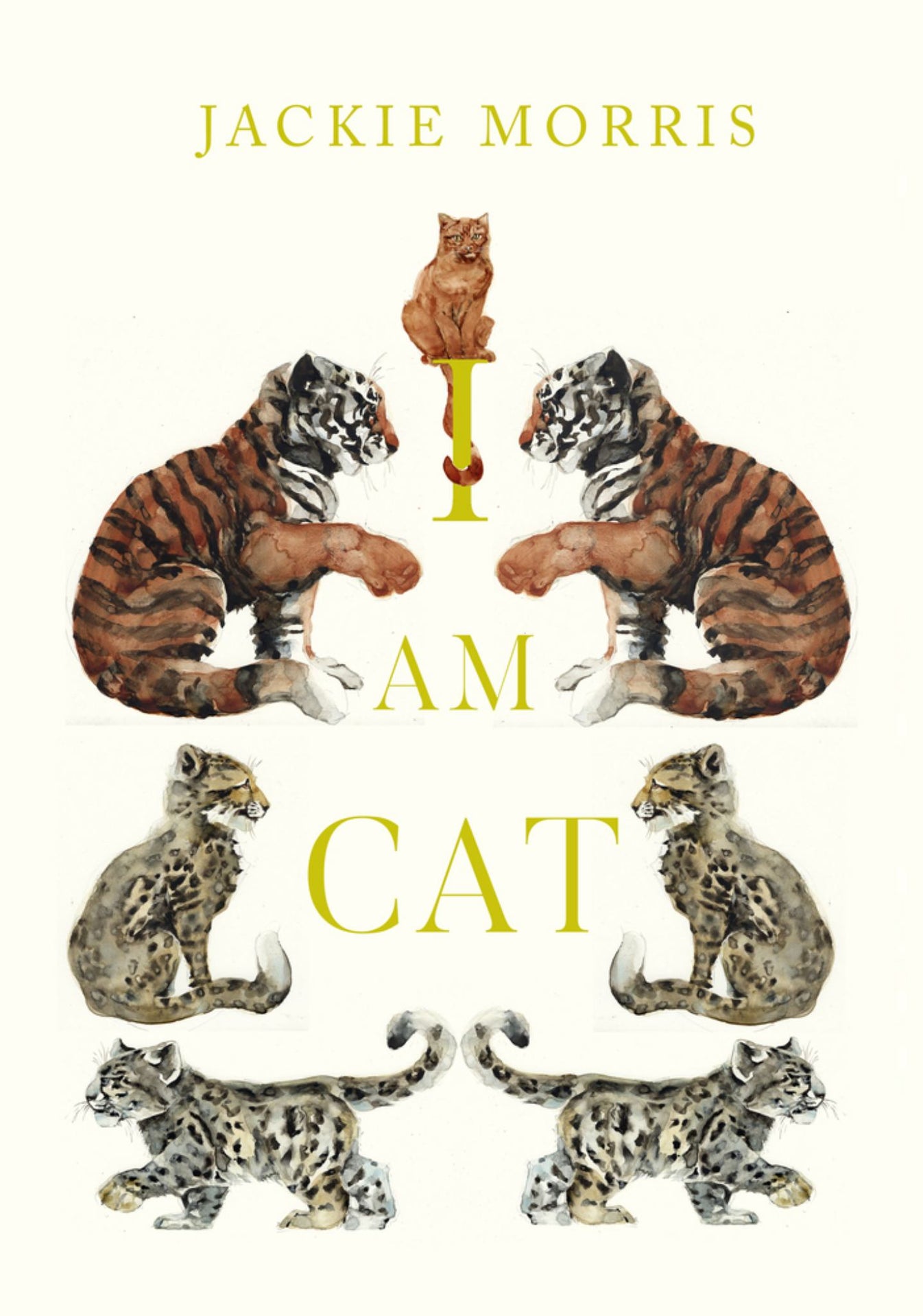 I Am Cat (RP) – Unity Books
